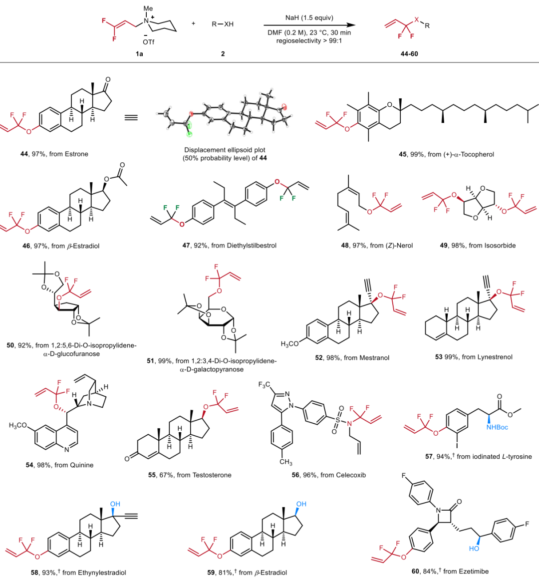 【技术】Nature Commun：一种新型的偕二氟烯丙基试剂——3,3-二氟烯丙基季铵盐（DFPAS）医药新闻-ByDrug-一站式医药资源共享中心-医药魔方