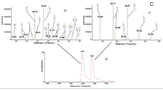 CMC浅谈 | 抗体药物的糖基化分析医药新闻-ByDrug-一站式医药资源共享中心-医药魔方