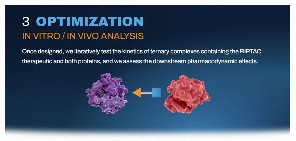 从PROTAC到RIPTAC：Arvinas创始人新公司融资7600万美元医药新闻-ByDrug-一站式医药资源共享中心-医药魔方