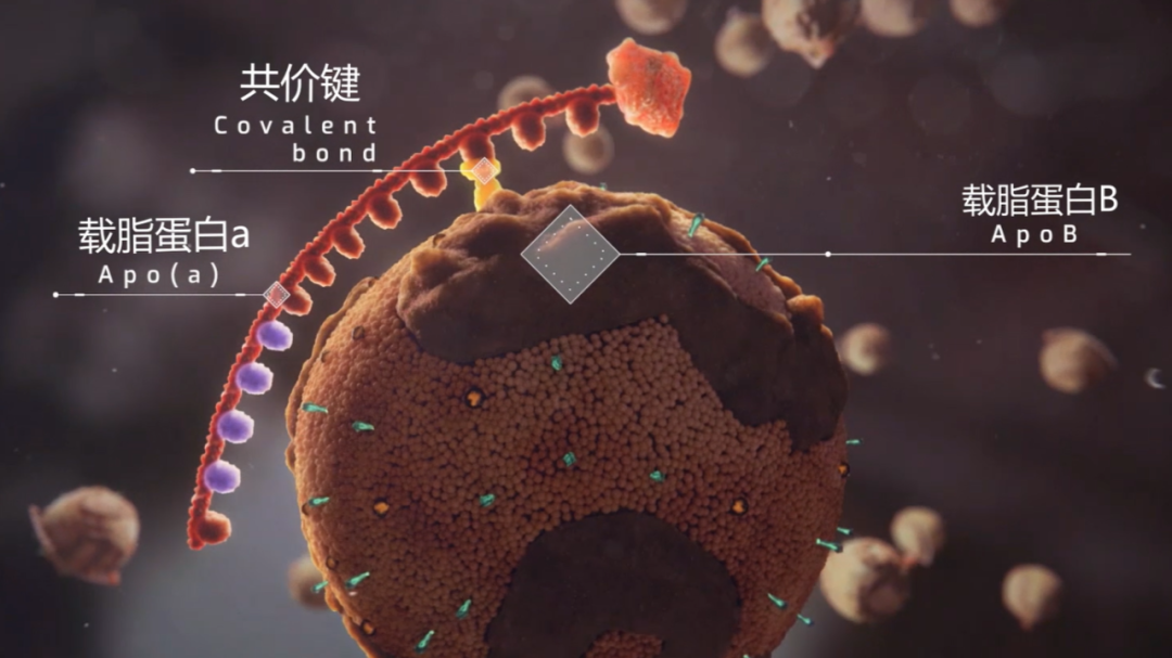 诺华创新降脂疗法Pelacarsen进博会首次亮相，聚焦Lp(a)新靶点，助力心脑血管疾病防治医药新闻-ByDrug-一站式医药资源共享中心-医药魔方
