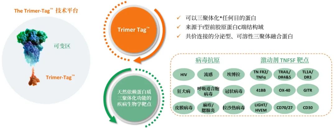 三叶草生物今日上市！90后CEO持续发力，核心产品获批在即医药新闻-ByDrug-一站式医药资源共享中心-医药魔方