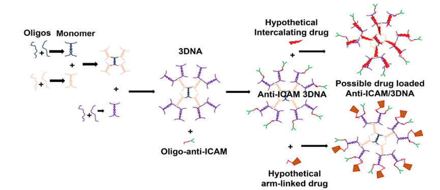 Code Biotherapeutics：开发独一无二的非病毒载体，突破基因疗法递送瓶颈医药新闻-ByDrug-一站式医药资源共享中心-医药魔方