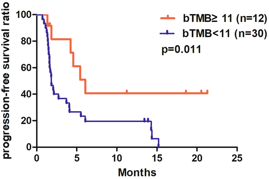 【文章发表】tTMB or bTMB？燃石医学给你新答案医药新闻-ByDrug-一站式医药资源共享中心-医药魔方