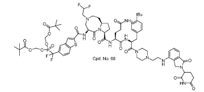 靶向难成药靶点STAT的磷酸肽类抑制剂：花开两朵，各表一枝医药新闻-ByDrug-一站式医药资源共享中心-医药魔方