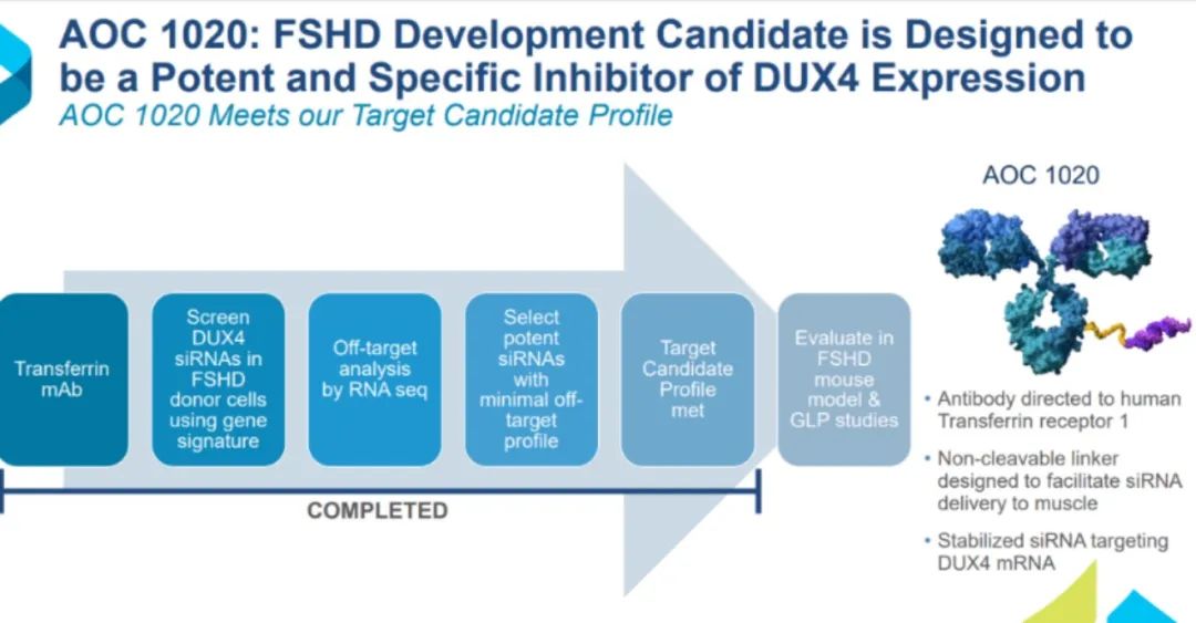 偶联不止ADC，抗体-寡核苷酸偶联物(AOC)盘点医药新闻-ByDrug-一站式医药资源共享中心-医药魔方