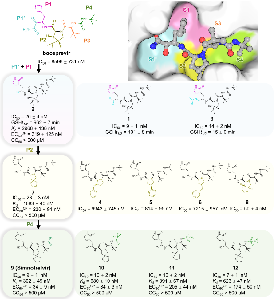 《Nature》子刊发表先诺欣活性成分先诺特韦发现过程及临床前研究结果医药新闻-ByDrug-一站式医药资源共享中心-医药魔方