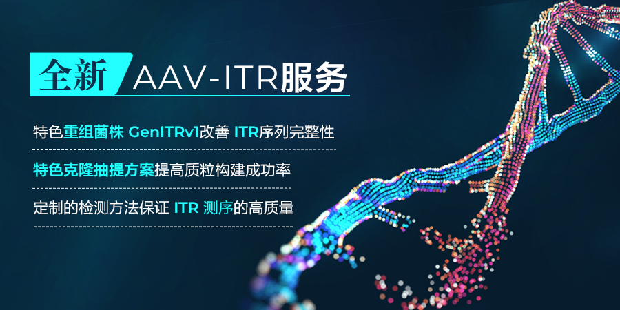 Nature子刊：人工合成的ITR 可用于AAV载体构建，有望改善基因疗法医药新闻-ByDrug-一站式医药资源共享中心-医药魔方