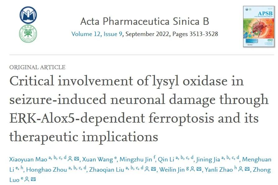 APSB | 湘雅毛小元/刘昭前·兰大金卫林教授等合作揭示铁死亡与癫痫脑损伤之间的分子机制医药新闻-ByDrug-一站式医药资源共享中心-医药魔方