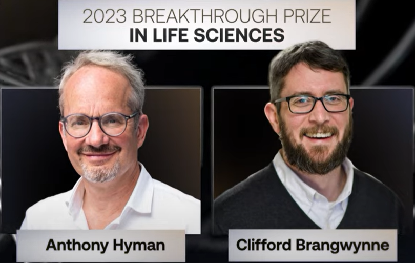 2023年“科学突破奖”揭晓！AlphaFold、相分离、嗜睡症研究斩获殊荣医药新闻-ByDrug-一站式医药资源共享中心-医药魔方