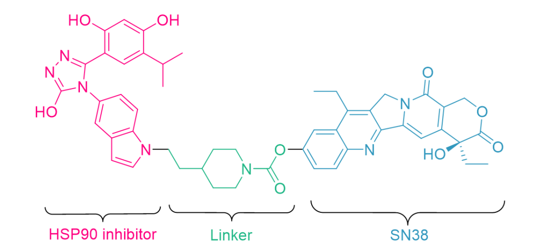 基于分子伴侣的蛋白降解技术发展历程医药新闻-ByDrug-一站式医药资源共享中心-医药魔方