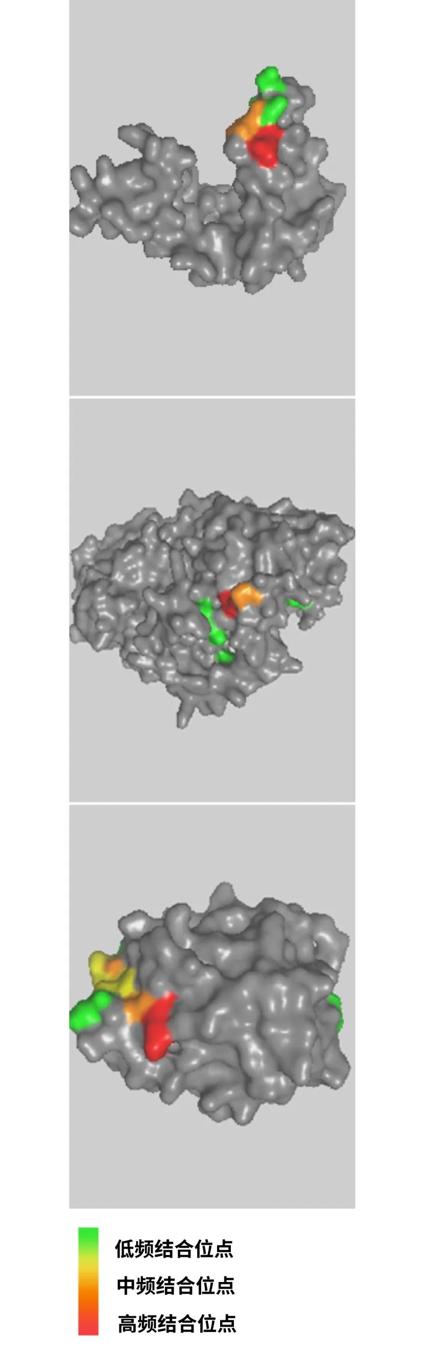 靶点鉴定平台|礼达先导PAL-AfBPP技术医药新闻-ByDrug-一站式医药资源共享中心-医药魔方
