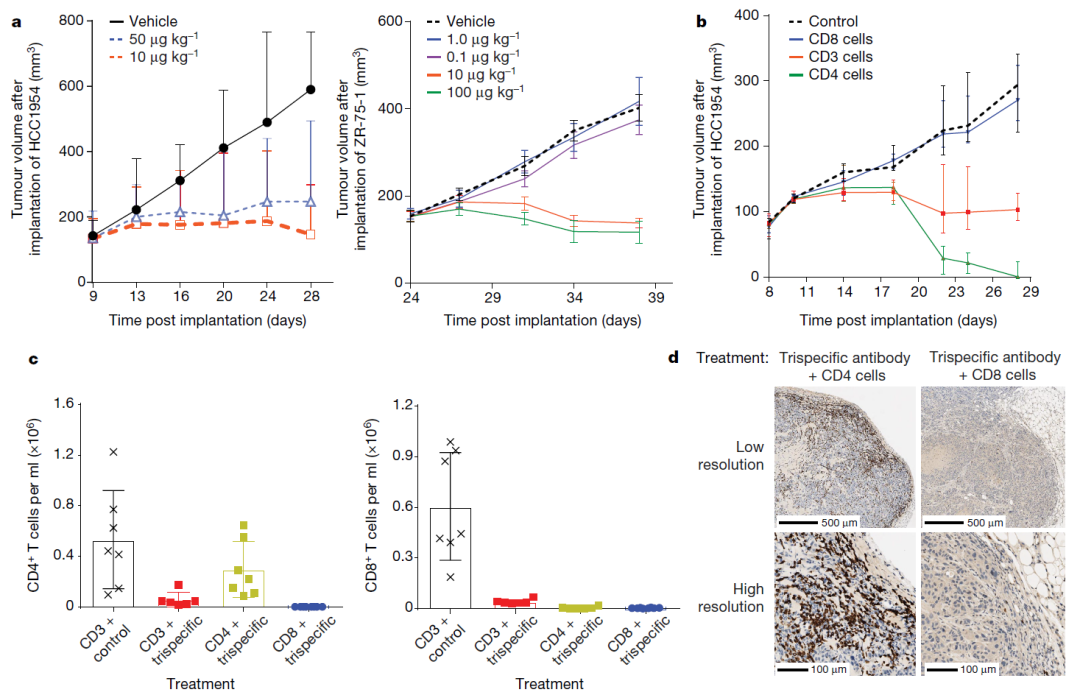 Nature里程碑：乳腺癌治疗“新兵”——HER2/CD3×CD28三特异性抗体医药新闻-ByDrug-一站式医药资源共享中心-医药魔方