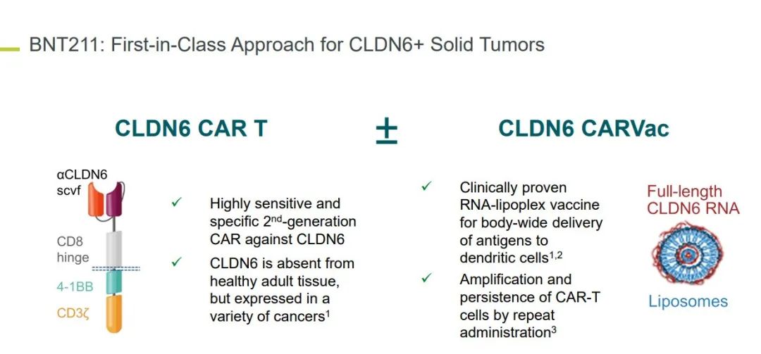 CAR-T+mRNA疫苗挑战实体瘤！BioNTech公布最新临床数据，DL2队列ORR达59%医药新闻-ByDrug-一站式医药资源共享中心-医药魔方