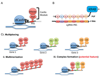 EccDNA 的验证，你清楚吗？医药新闻-ByDrug-一站式医药资源共享中心-医药魔方