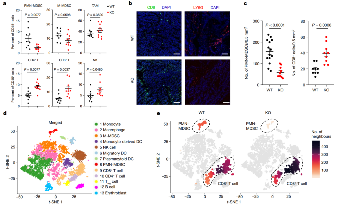 Nature文章：赵允组合作揭示靶向PMN-MDSCs的全新肿瘤免疫治疗靶点医药新闻-ByDrug-一站式医药资源共享中心-医药魔方