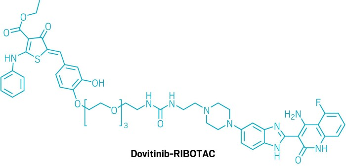 RIBOTAC：开启RNA降解新时代医药新闻-ByDrug-一站式医药资源共享中心-医药魔方