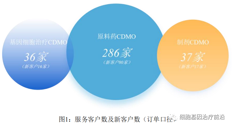 博腾：基因细胞治疗CDMO新项目增长119%医药新闻-ByDrug-一站式医药资源共享中心-医药魔方