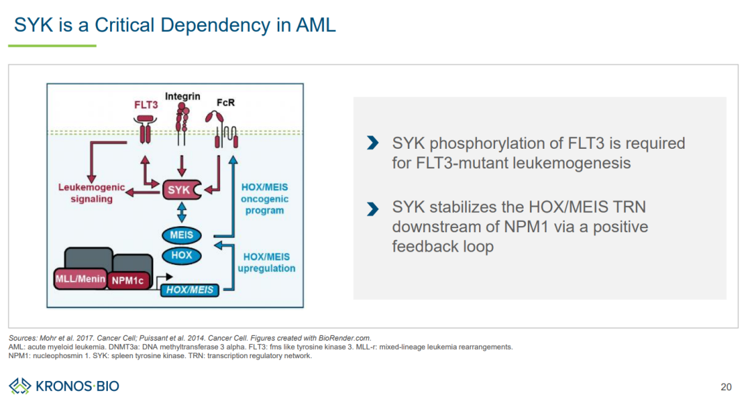 Kronos终止SYK抑制剂急性髓系白血病III期临床研究医药新闻-ByDrug-一站式医药资源共享中心-医药魔方
