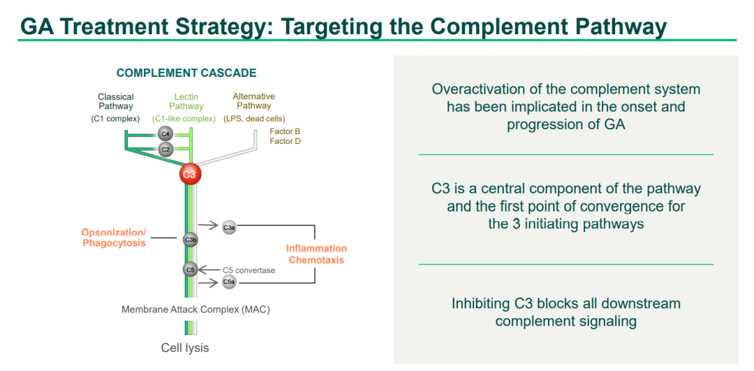 补体C3单抗治疗地图样萎缩II期失败，NGM股价下跌70%医药新闻-ByDrug-一站式医药资源共享中心-医药魔方