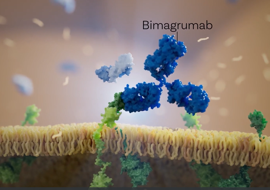 19.25亿美元！礼来收购Versanis Bio，持续加注减肥资产医药新闻-ByDrug-一站式医药资源共享中心-医药魔方