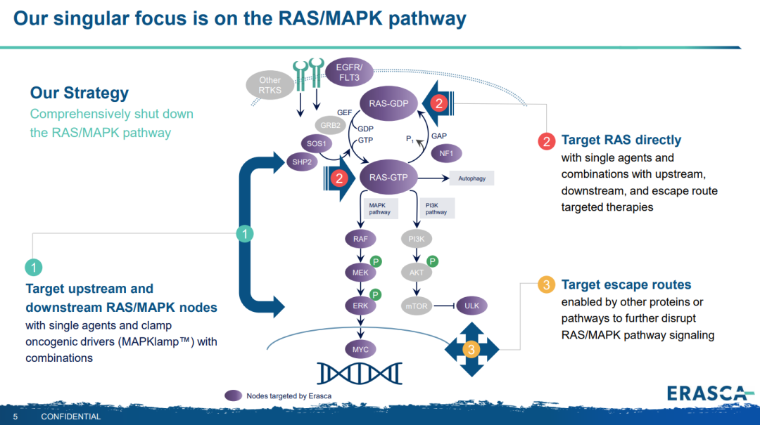 3.8亿美元：Erasca与诺华达成Pan-RAF抑制剂独家授权协议医药新闻-ByDrug-一站式医药资源共享中心-医药魔方