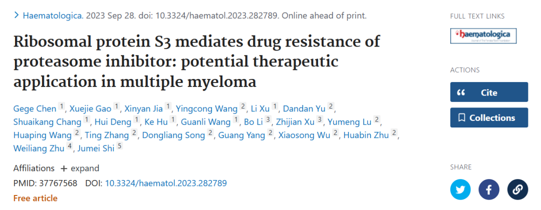 施菊妹教授团队首次揭示RPS3在血液恶性肿瘤中的转化应用前景医药新闻-ByDrug-一站式医药资源共享中心-医药魔方