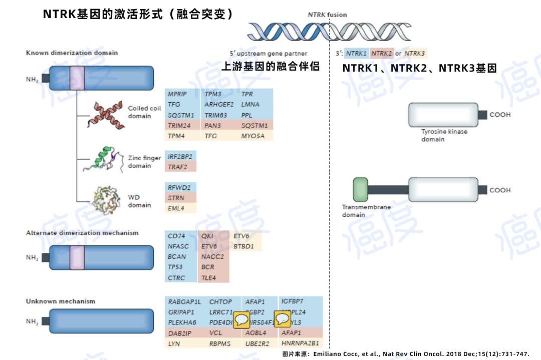 拍案惊奇，错误的基因检测报告解读，昂贵的NTRK靶向药医药新闻-ByDrug-一站式医药资源共享中心-医药魔方