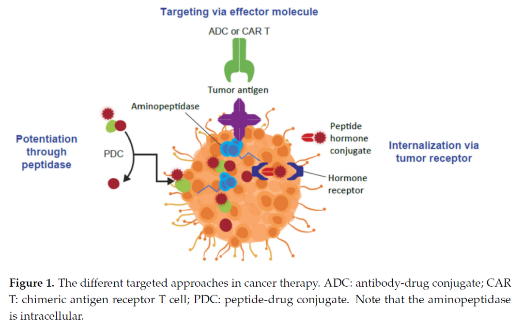 生物分析专栏 | PDC药物的药代动力学和生物分析医药新闻-ByDrug-一站式医药资源共享中心-医药魔方