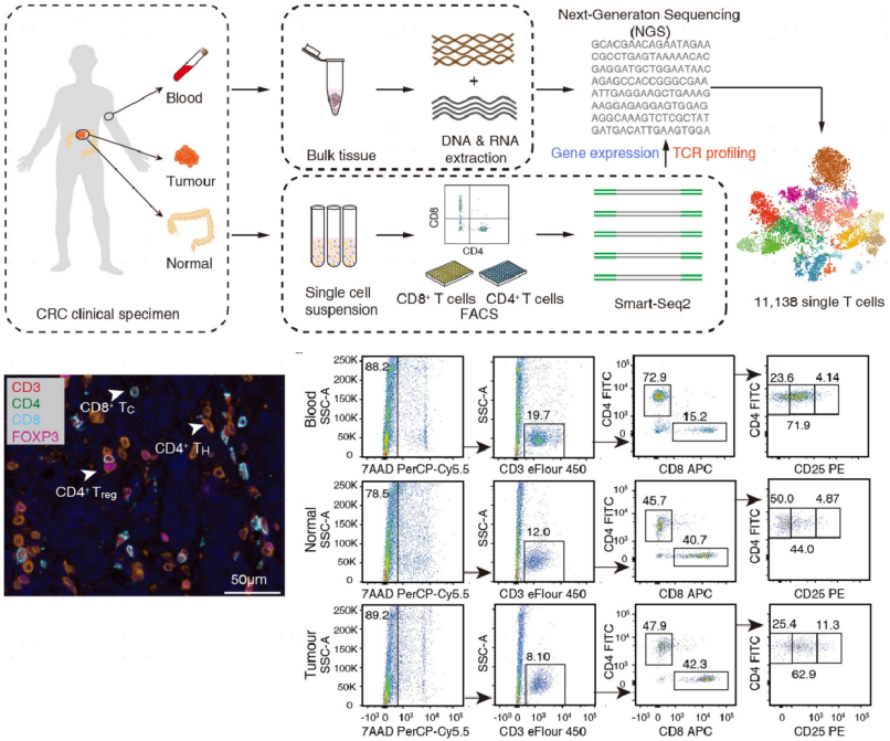 器度宽广 | Singleron PythoN与流式细胞术多维解析细胞医药新闻-ByDrug-一站式医药资源共享中心-医药魔方