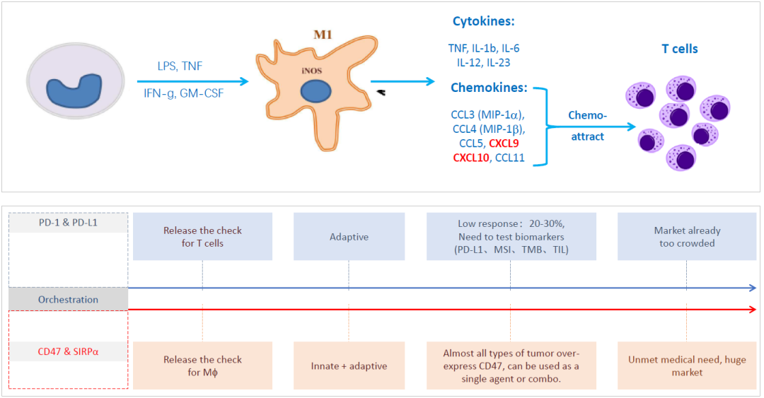 宜明昂科IMM01联合PD-1抗体治疗复发难治恶性肿瘤的Ib/II期临床研究完成首例受试者入组给药丨朗盛･Family医药新闻-ByDrug-一站式医药资源共享中心-医药魔方