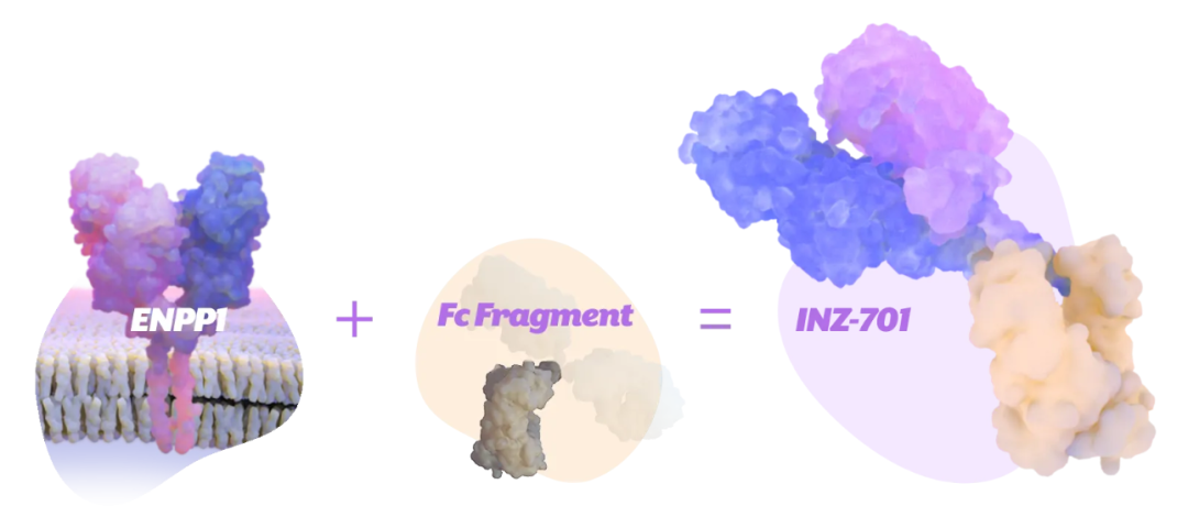 全球首个ENPP1靶向药物进入III期临床医药新闻-ByDrug-一站式医药资源共享中心-医药魔方