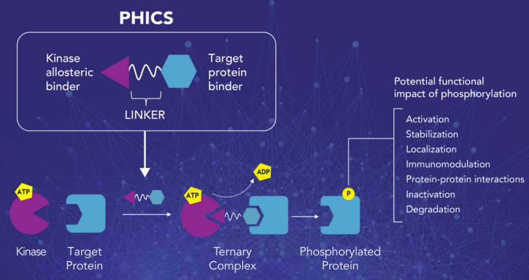 PROTAC之后，PHICS来了！默沙东、礼来齐押注，新锐融资7500万美元医药新闻-ByDrug-一站式医药资源共享中心-医药魔方