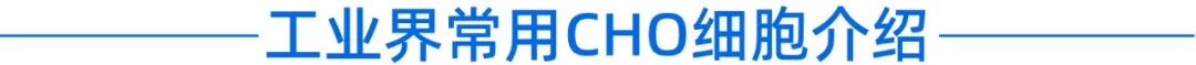 CMC浅谈 | CHO细胞那些事医药新闻-ByDrug-一站式医药资源共享中心-医药魔方