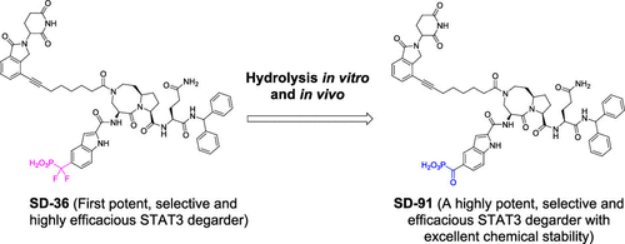 靶向难成药靶点STAT的磷酸肽类抑制剂：花开两朵，各表一枝医药新闻-ByDrug-一站式医药资源共享中心-医药魔方