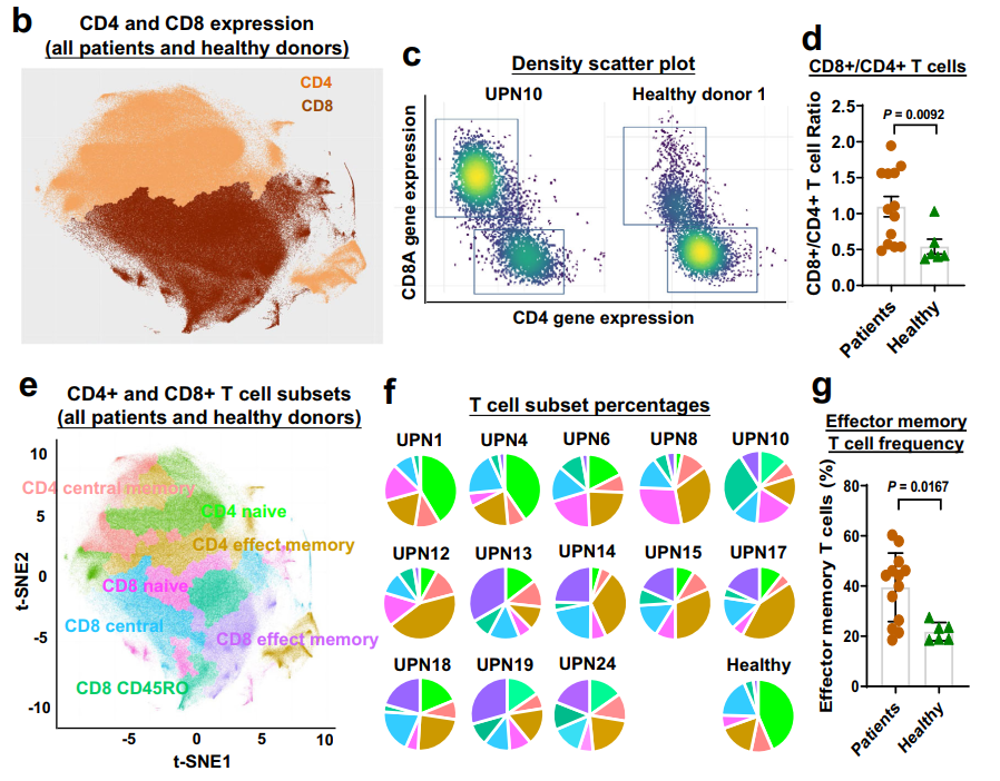 单细胞RNA测序联合TCR分析T细胞大颗粒淋巴细胞白血病医药新闻-ByDrug-一站式医药资源共享中心-医药魔方