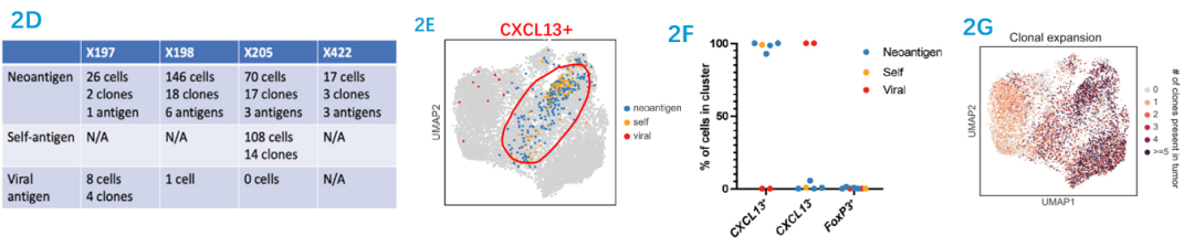 BD Rhapsody单细胞多组学技术助力黑色素瘤特异性CD4+T细胞研究医药新闻-ByDrug-一站式医药资源共享中心-医药魔方