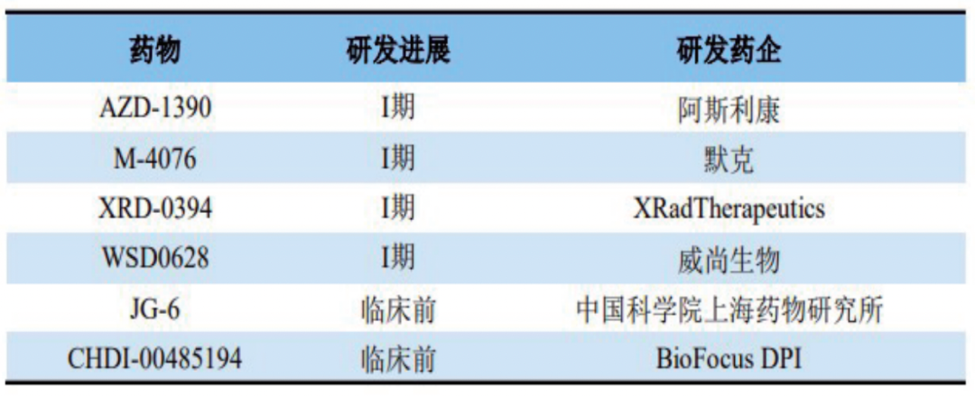 高·见｜靶向ddr通路：作为合成致死的重要环节，还有哪些期待？医药新闻 Bydrug 一站式医药资源共享中心 医药魔方