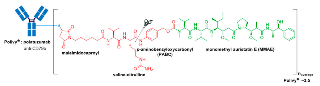 国外Biotech公司ADC产品技术特色医药新闻-ByDrug-一站式医药资源共享中心-医药魔方