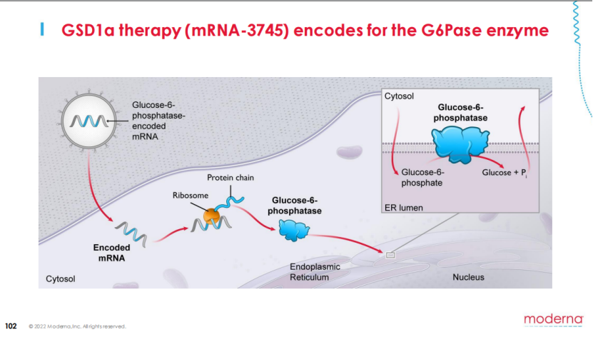 Moderna：传染病、肿瘤、罕见病mRNA疫苗全面推进医药新闻-ByDrug-一站式医药资源共享中心-医药魔方