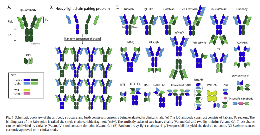 生物分析专栏 | 双特异性抗体的药代动力学研究和生物分析医药新闻-ByDrug-一站式医药资源共享中心-医药魔方