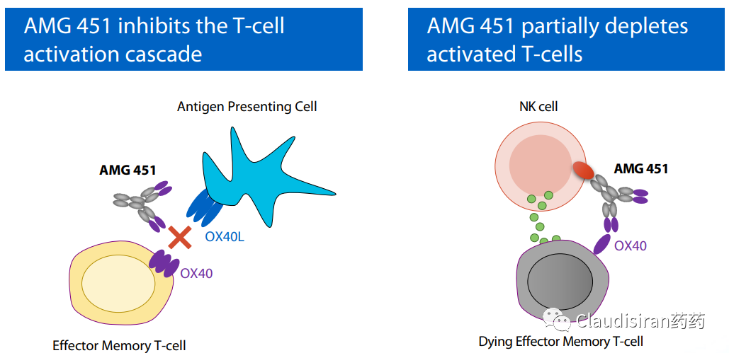 Amgen 2030年展望Part1：肿瘤+免疫医药新闻-ByDrug-一站式医药资源共享中心-医药魔方