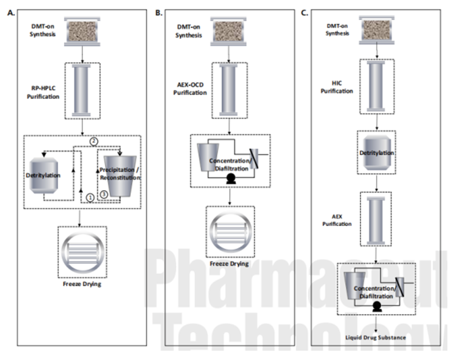 小核酸药物深度研究系列（三）深度解析小核酸药物从CMC至NDA关键环节的核心要点医药新闻-ByDrug-一站式医药资源共享中心-医药魔方