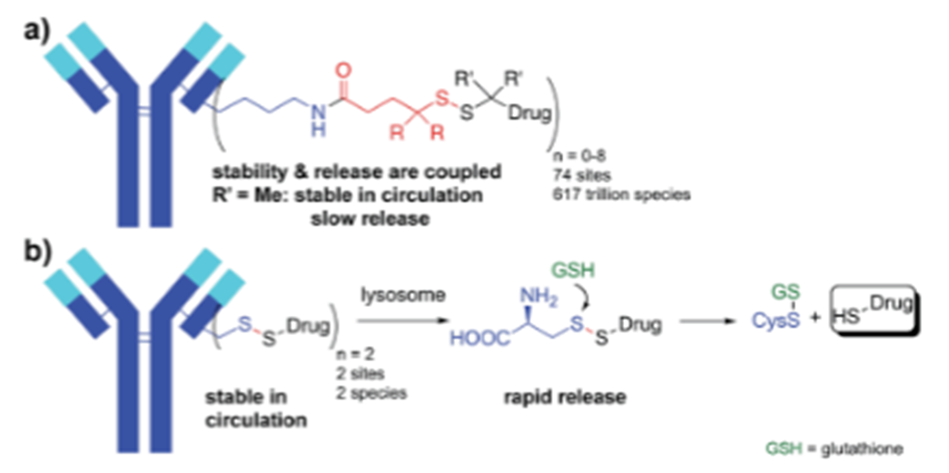 ADC毒性作用机制及提高ADC耐受策略医药新闻-ByDrug-一站式医药资源共享中心-医药魔方