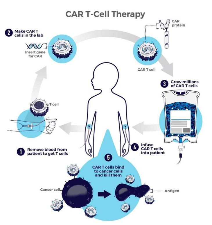高·见｜开年报告：FDA审批新药改革变迁之中国创新药出海破局（上篇）医药新闻-ByDrug-一站式医药资源共享中心-医药魔方