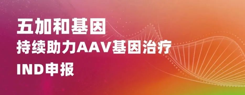 五加和基因持续助力AAV基因治疗IND申报医药新闻-ByDrug-一站式医药资源共享中心-医药魔方