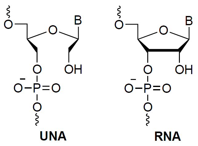 先导科普荟 | 开环：提高稳定性降低脱靶的UNA核酸修饰医药新闻-ByDrug-一站式医药资源共享中心-医药魔方