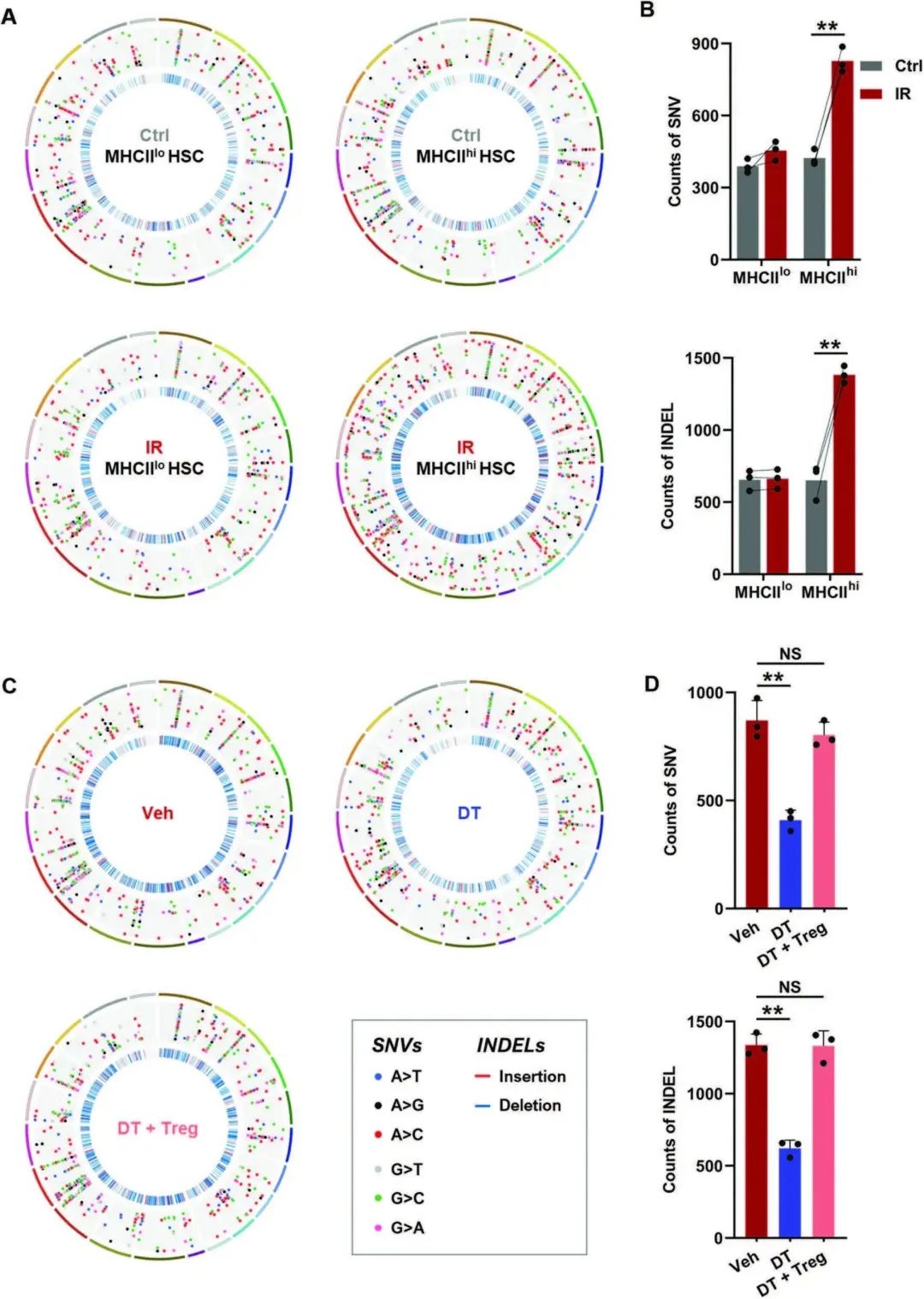 艾沐蒽助力揭示衰老骨髓干细胞机制的新视角！Cellular & Molecular Immunology最新发表医药新闻-ByDrug-一站式医药资源共享中心-医药魔方