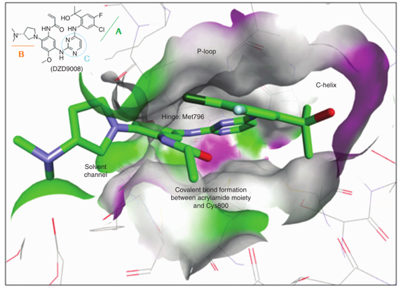 从Me too到FIC/BIC，中国创新药行业向光而行医药新闻-ByDrug-一站式医药资源共享中心-医药魔方