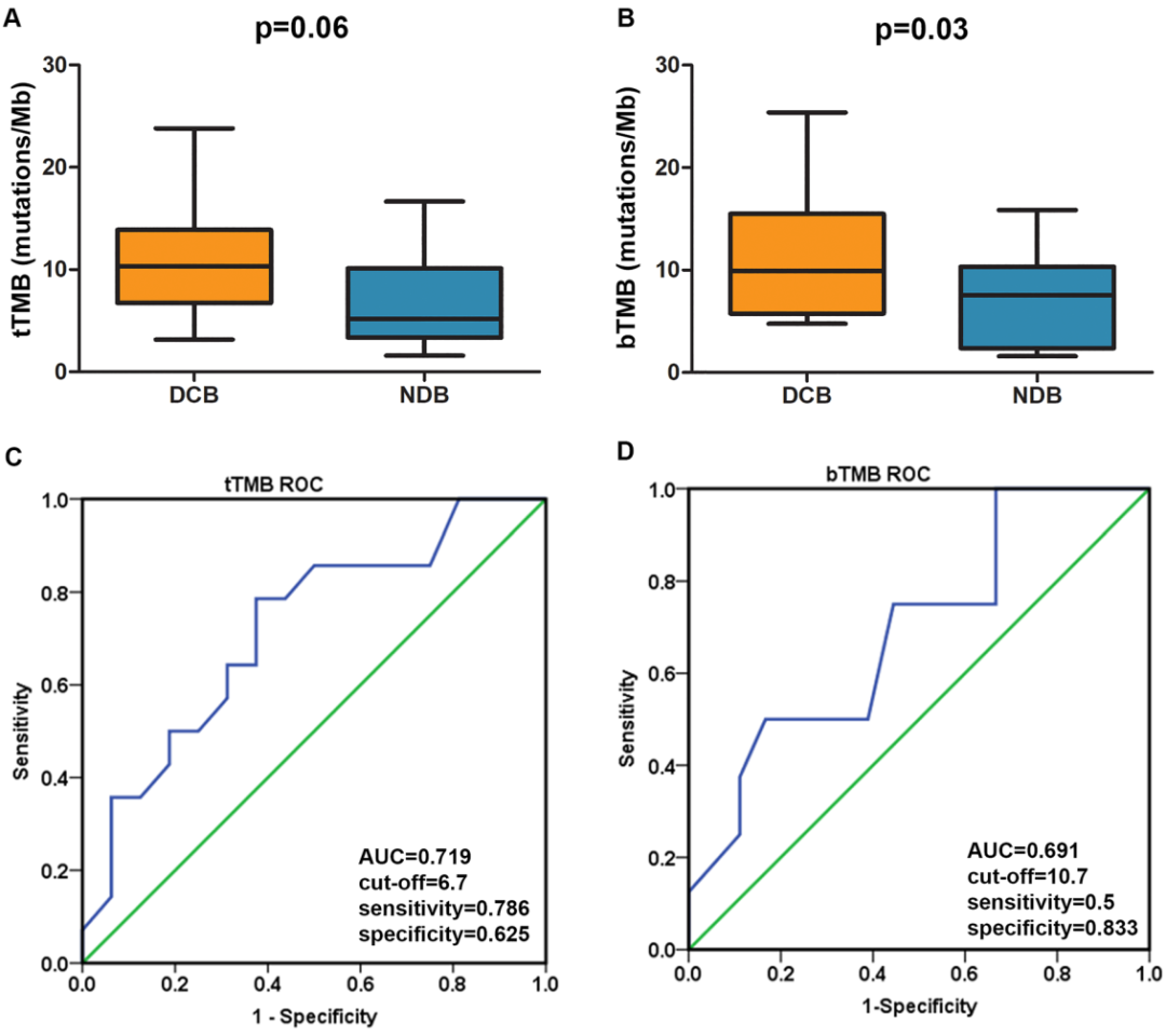 【文章发表】tTMB or bTMB？燃石医学给你新答案医药新闻-ByDrug-一站式医药资源共享中心-医药魔方
