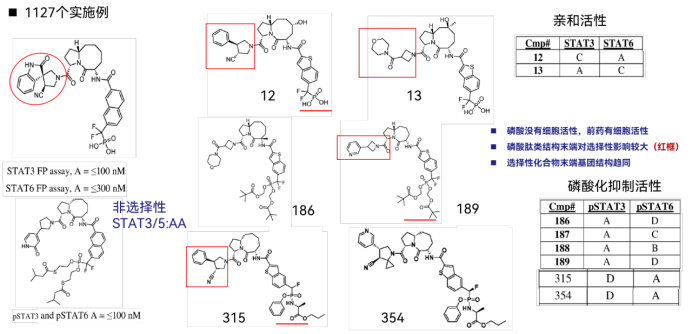 靶向难成药靶点STAT的磷酸肽类抑制剂：花开两朵，各表一枝医药新闻-ByDrug-一站式医药资源共享中心-医药魔方